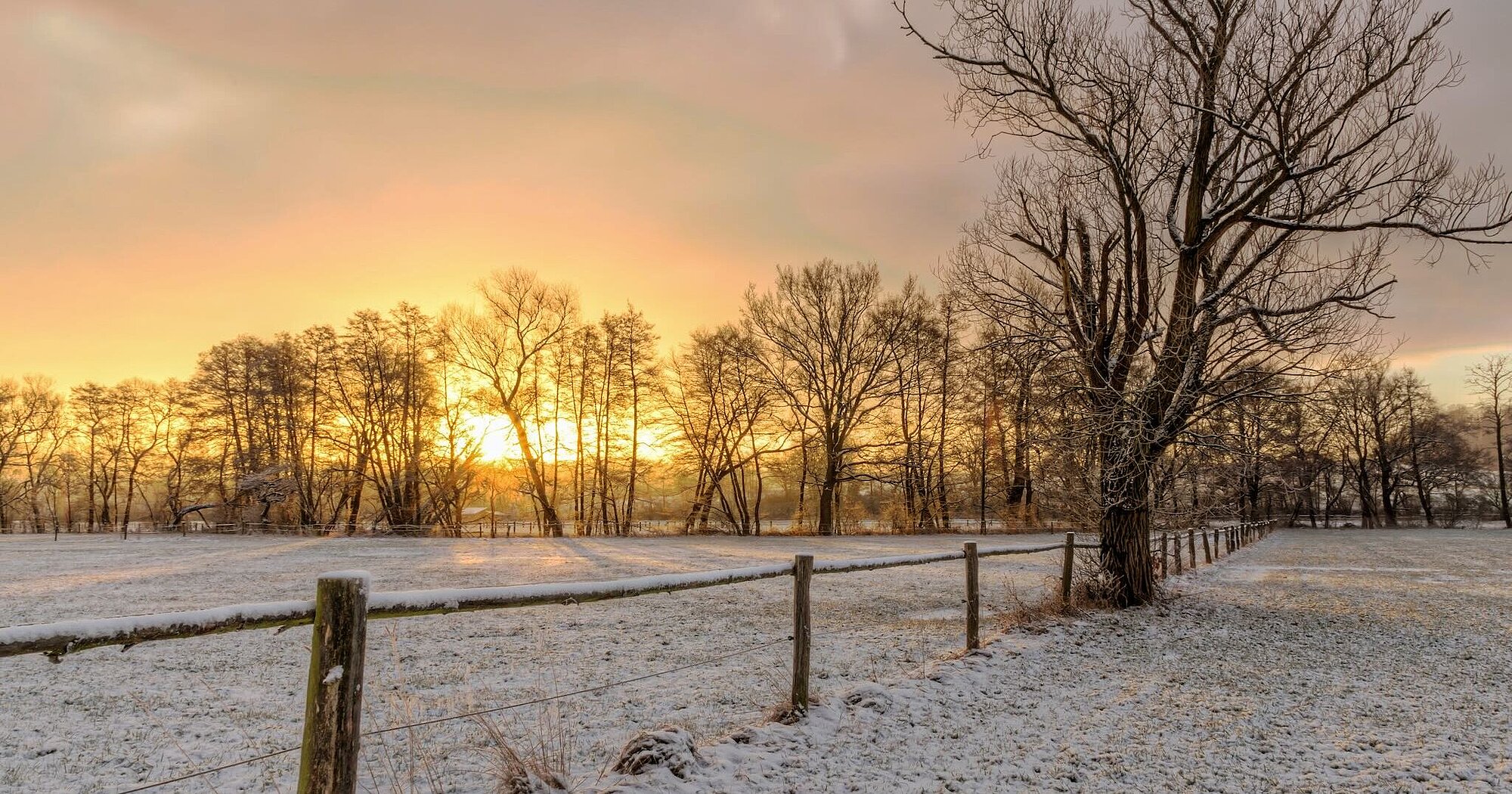 Mental health and self employment · en.drea.land